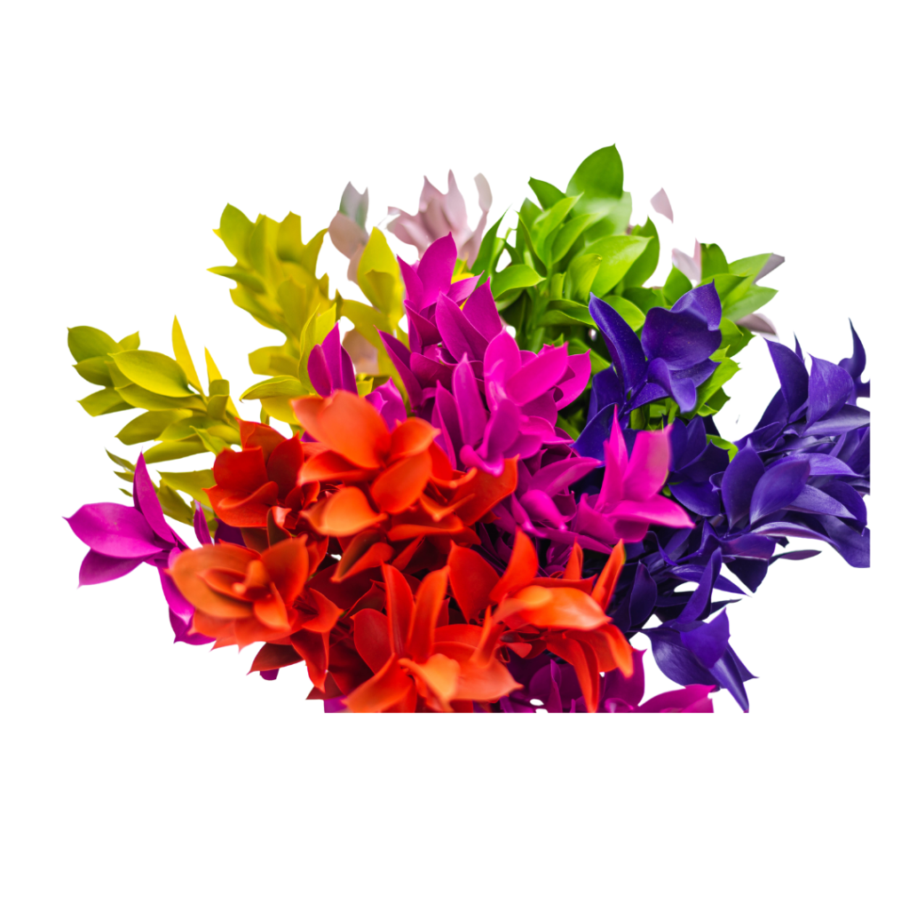 Tinted - Growing Global